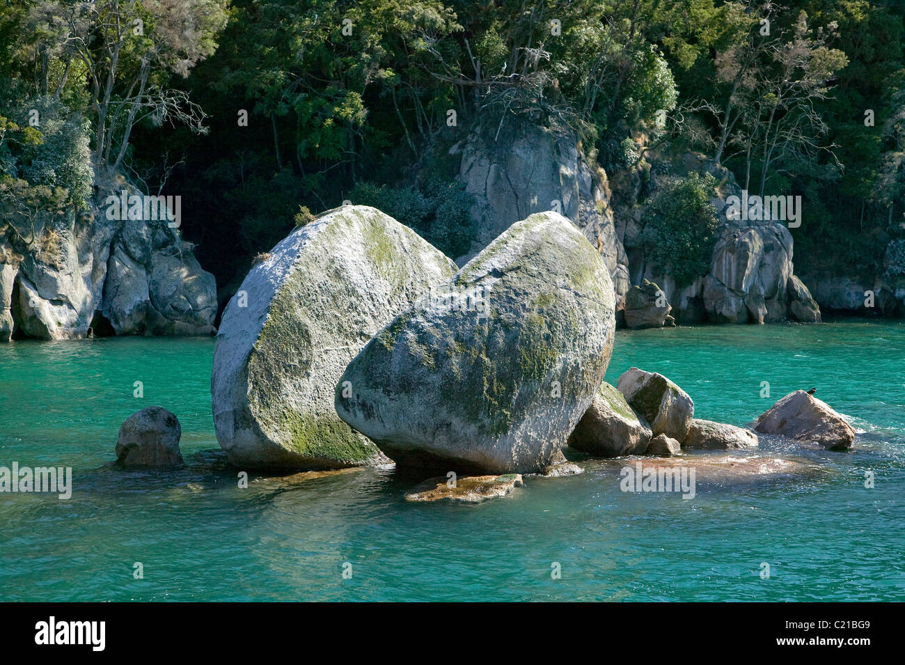 split apple rock in Abel Tasman national park, New Zealand Stock Photo ...