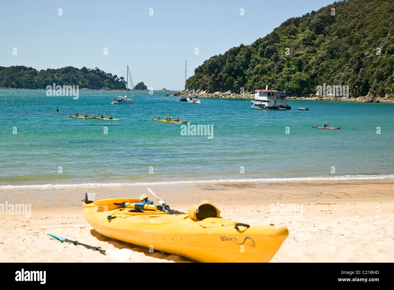 Abel Tasman national park, New Zealand Stock Photo - Alamy