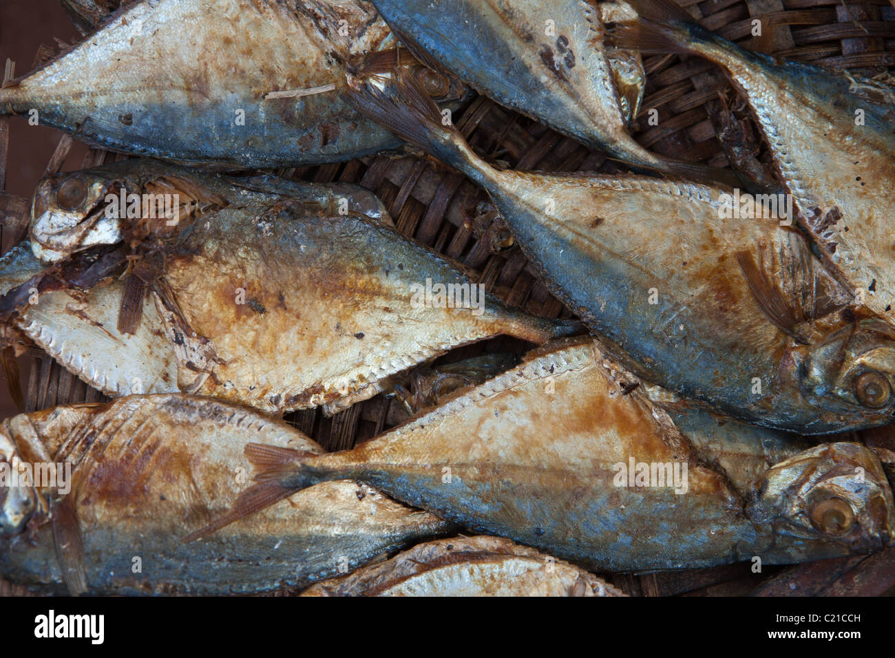 River fish for sale in a market in Togo, West Africa Stock Photo - Alamy