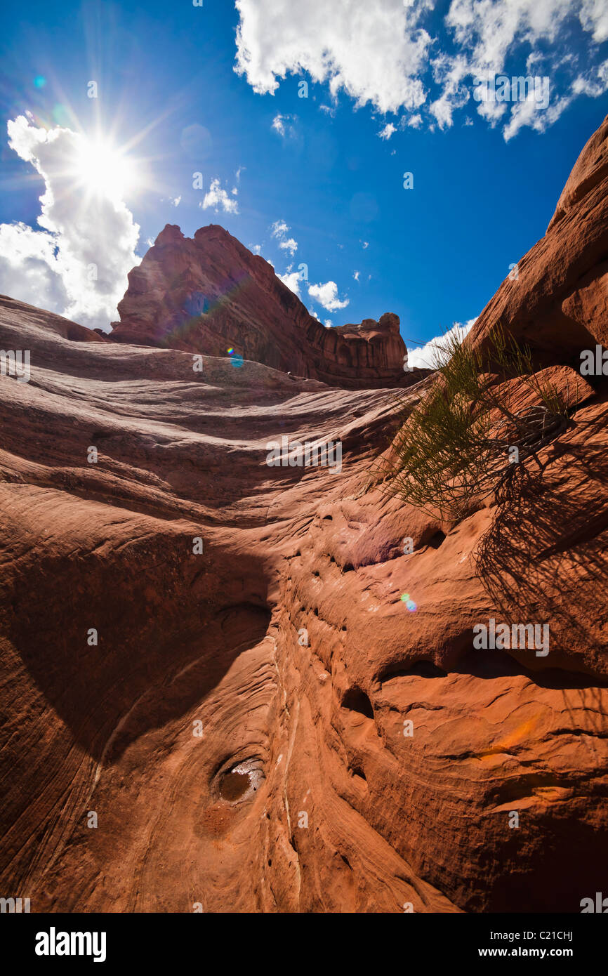 Gully erosion usa High Resolution Stock Photography and Images - Alamy