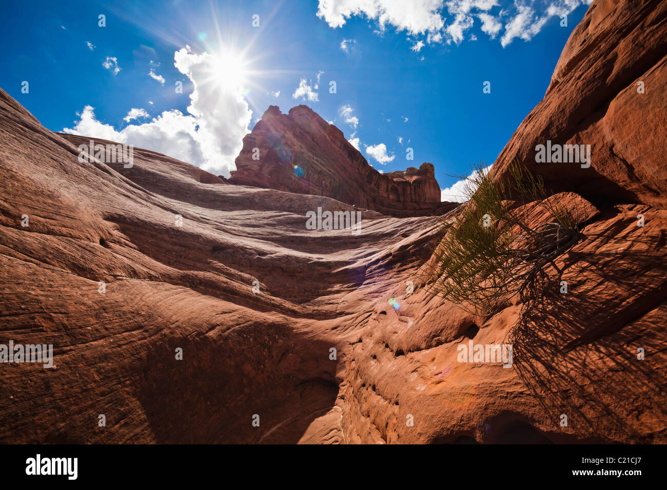 Drainage gully hi-res stock photography and images - Alamy