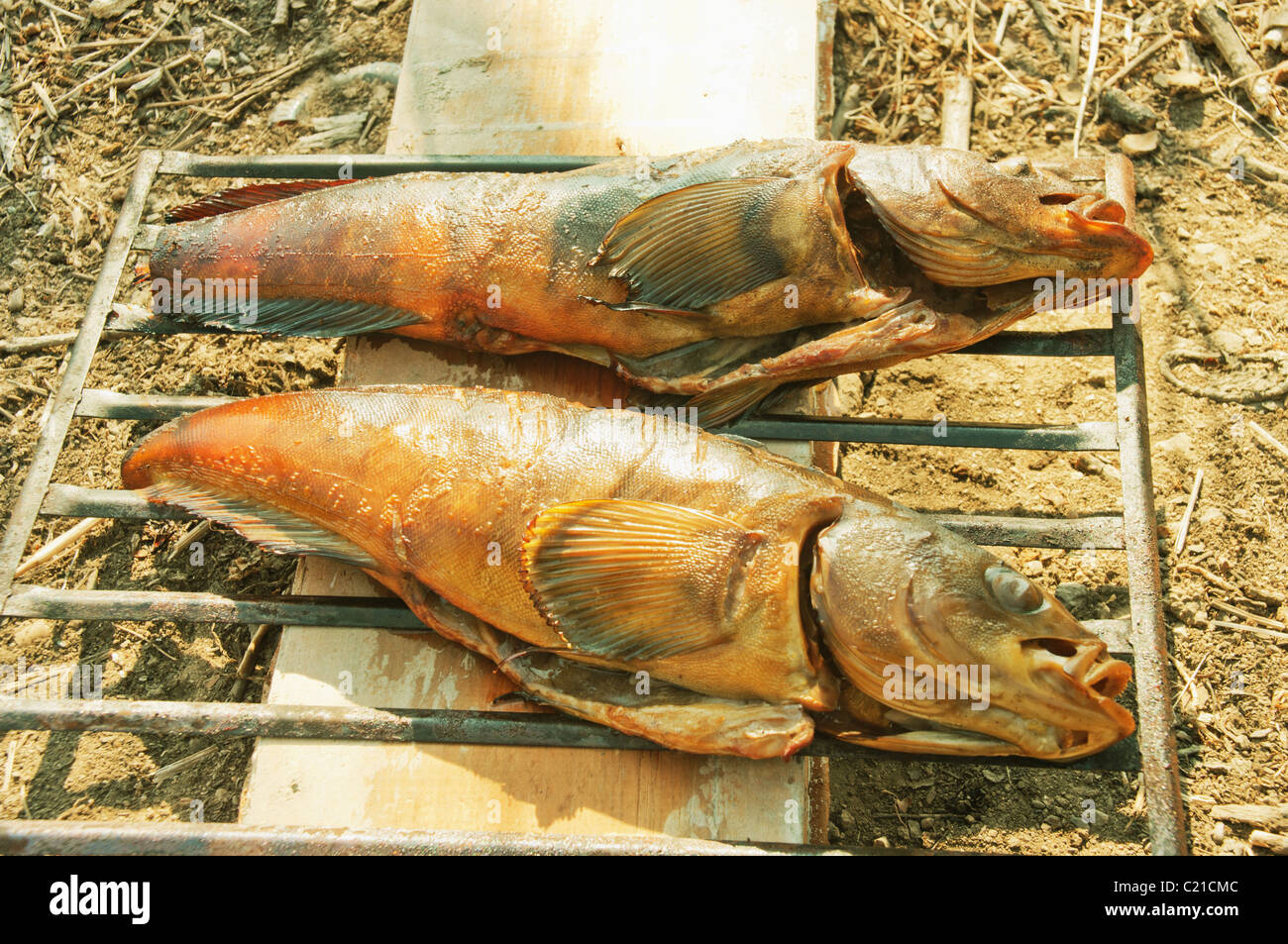 Sea smoke hi-res stock photography and images - Alamy