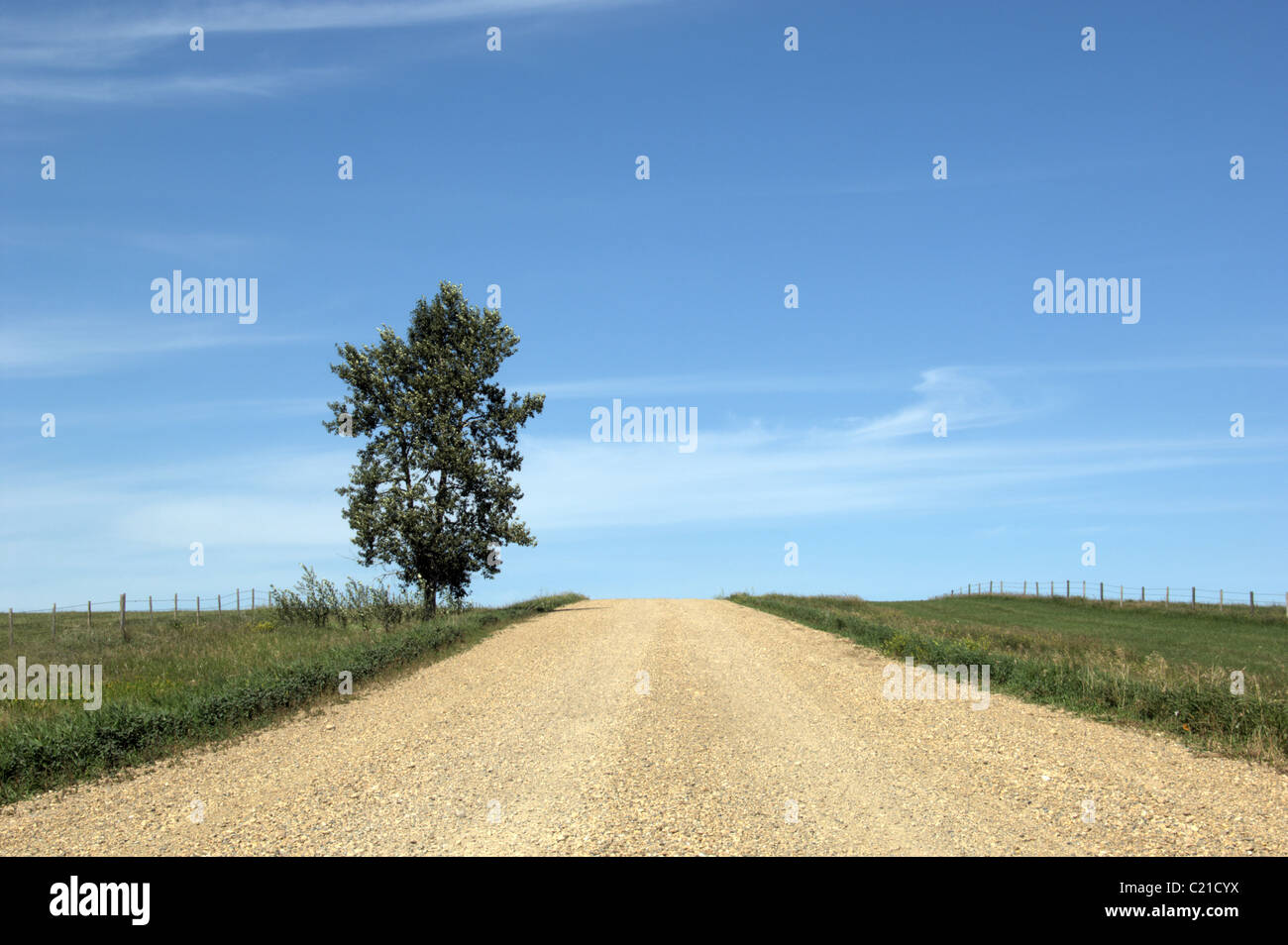 Open country field in alberta hi-res stock photography and images - Alamy