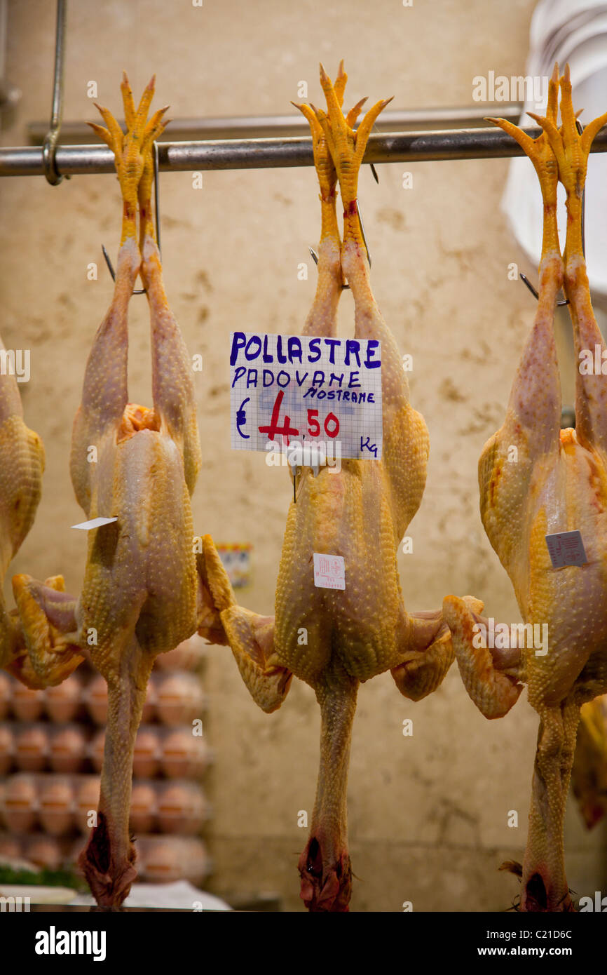 Hanging chickens hi-res stock photography and images - Alamy