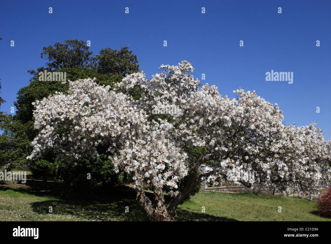 Maymont park in richmond virginia hi-res stock photography and images ...