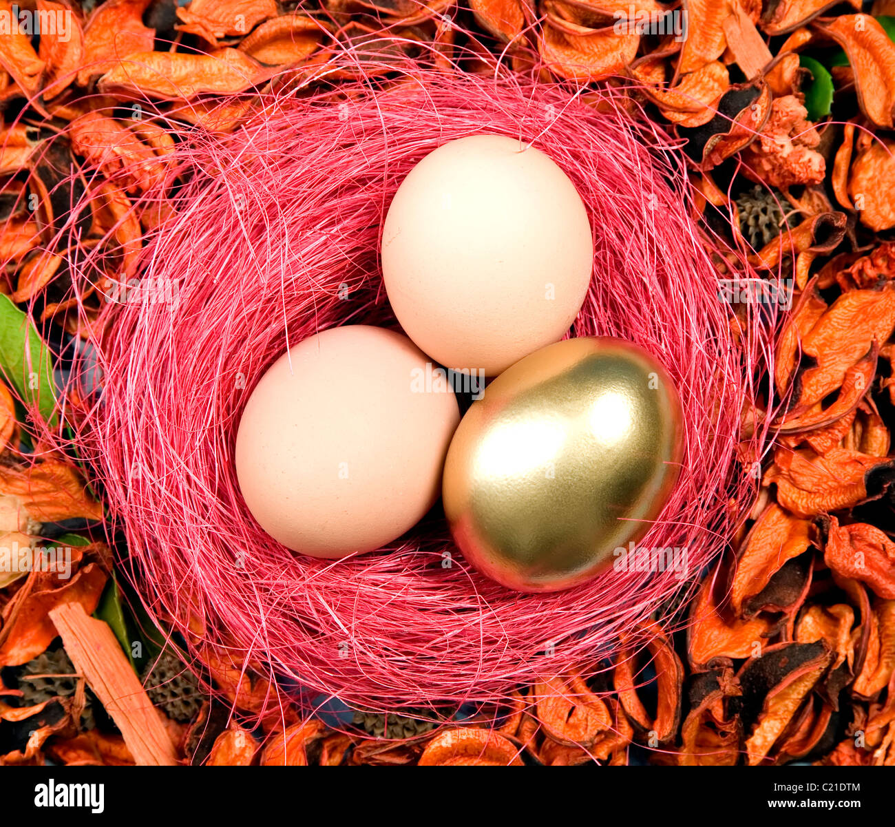 Golden egg placed on shaves of jasmin peel Stock Photo - Alamy