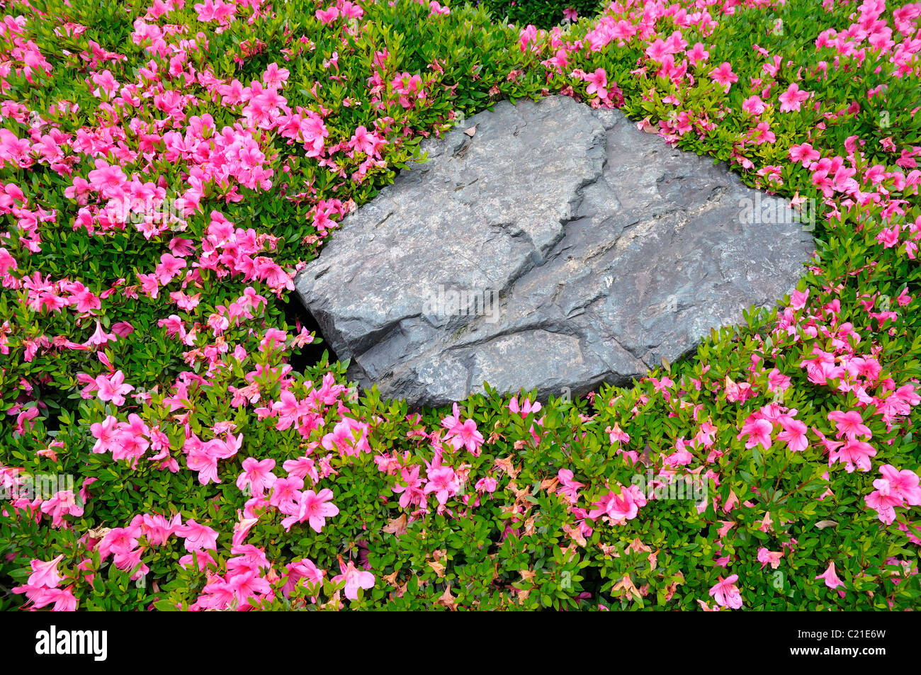 Japanese zen garden fragment Stock Photo - Alamy