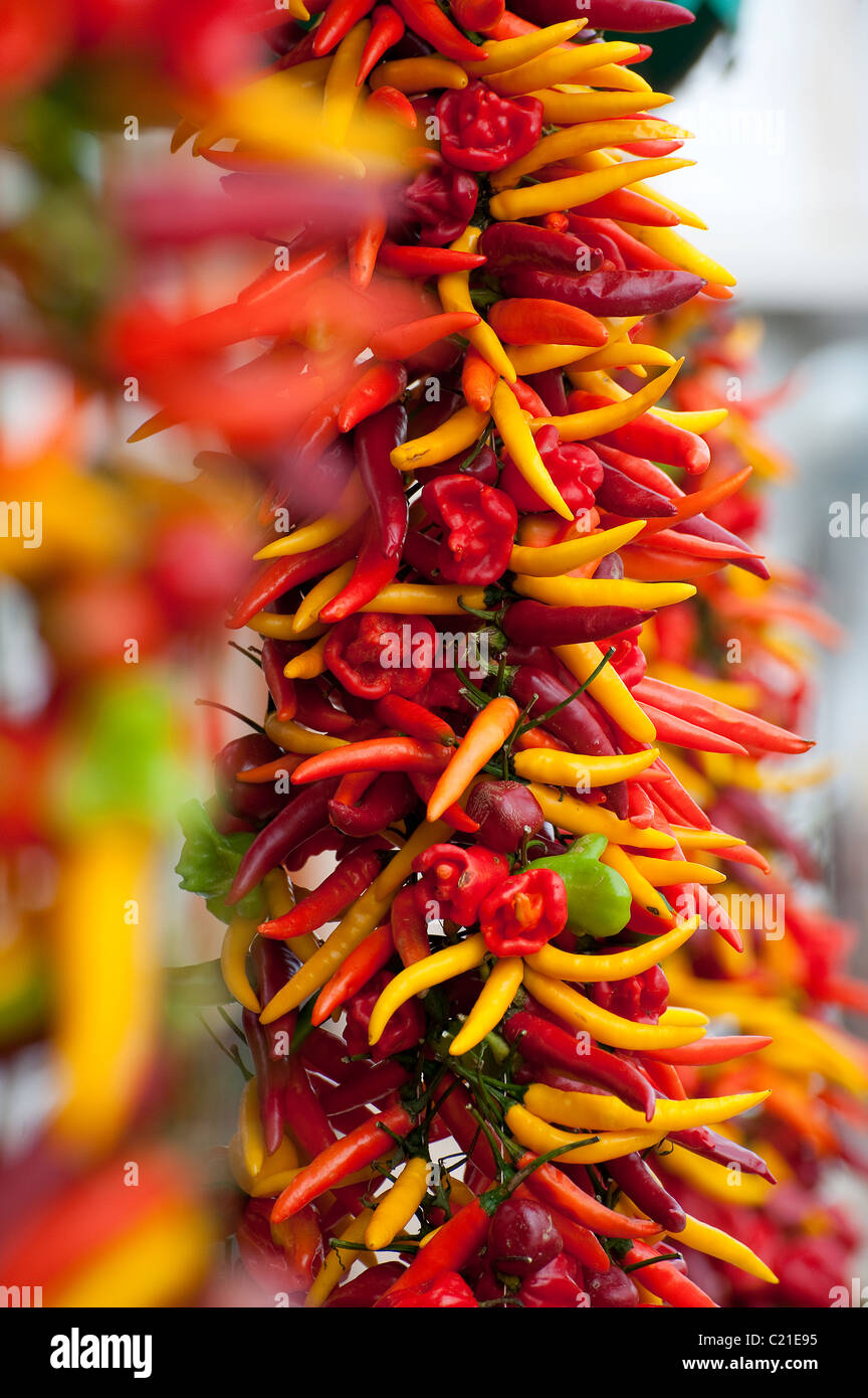 Chilli string hi-res stock photography and images - Alamy