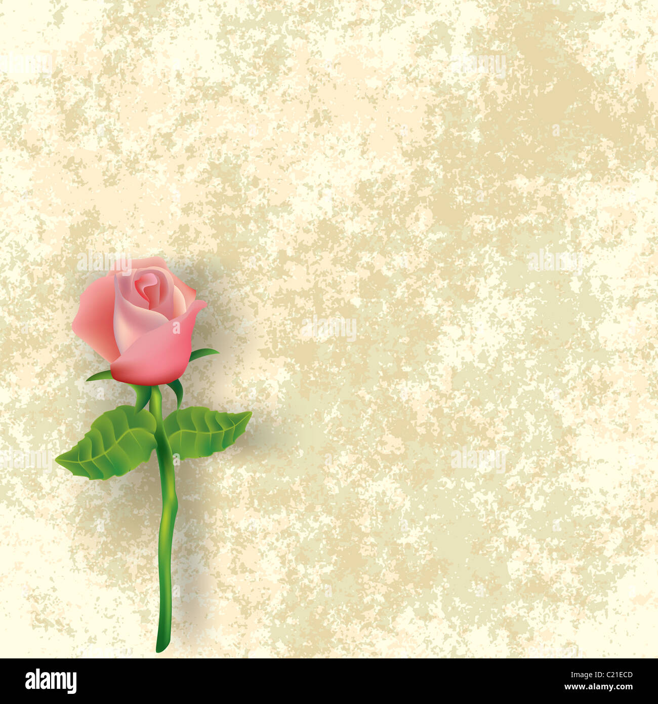 abstract floral illustration with rose on dirty beige background Stock ...