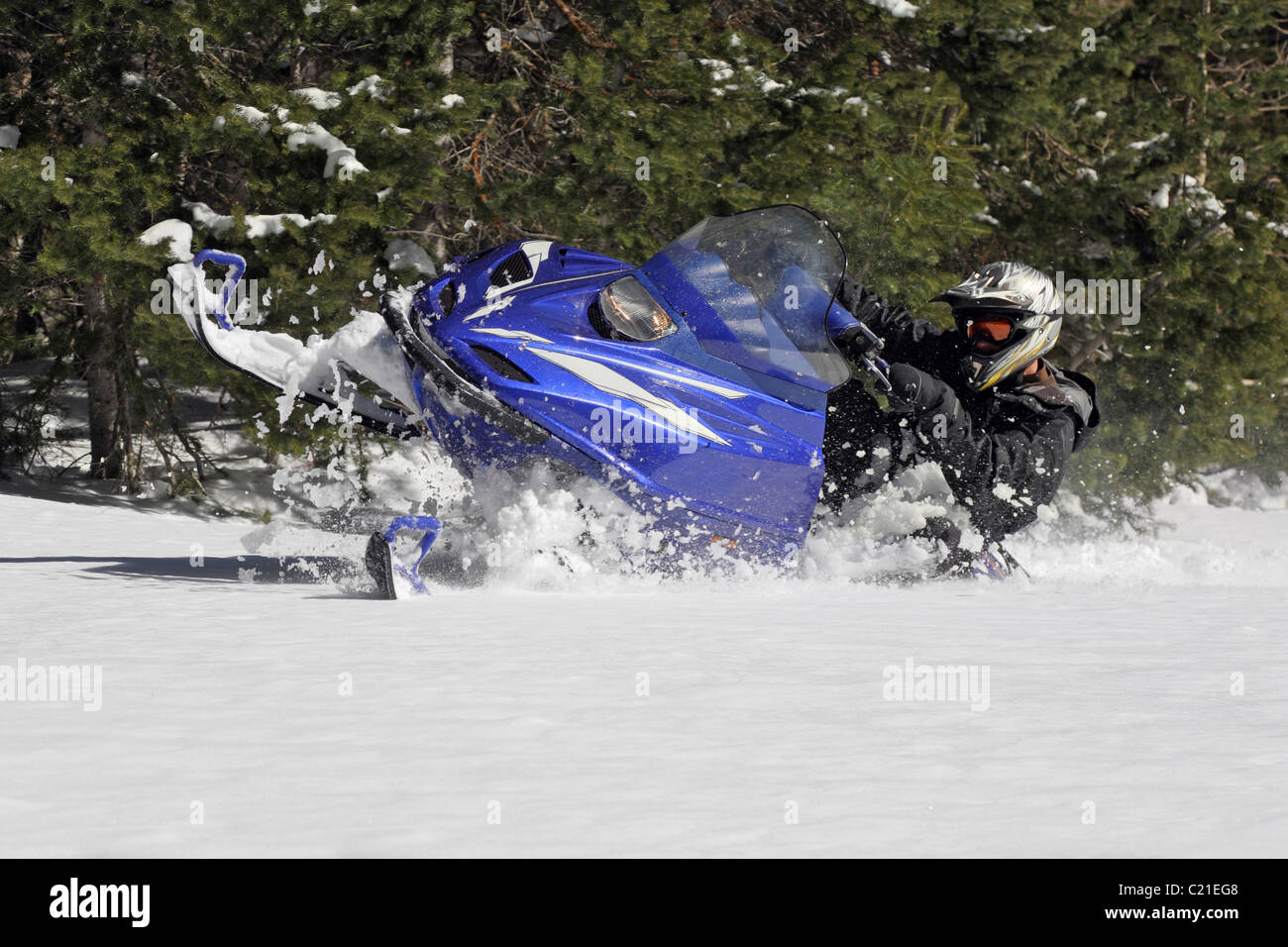 man and fast action snowmobile jumping Stock Photo - Alamy