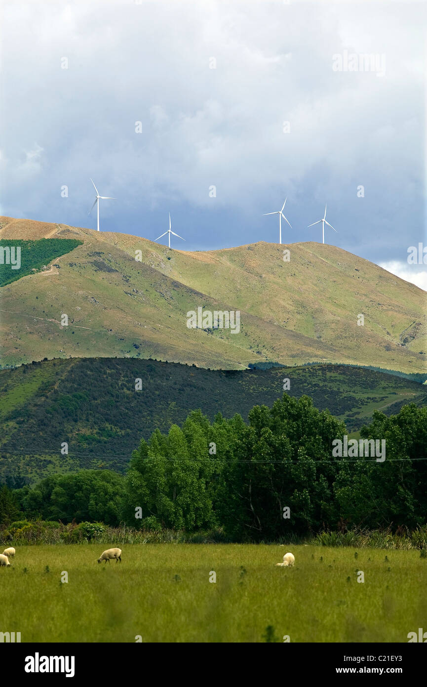 Lumsden hi-res stock photography and images - Alamy