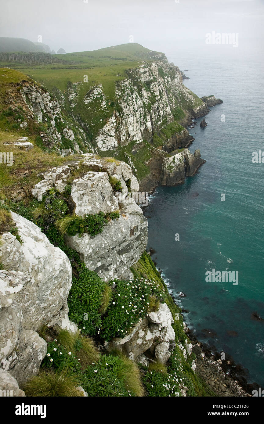 Cloudy bay new zealand hi-res stock photography and images - Alamy