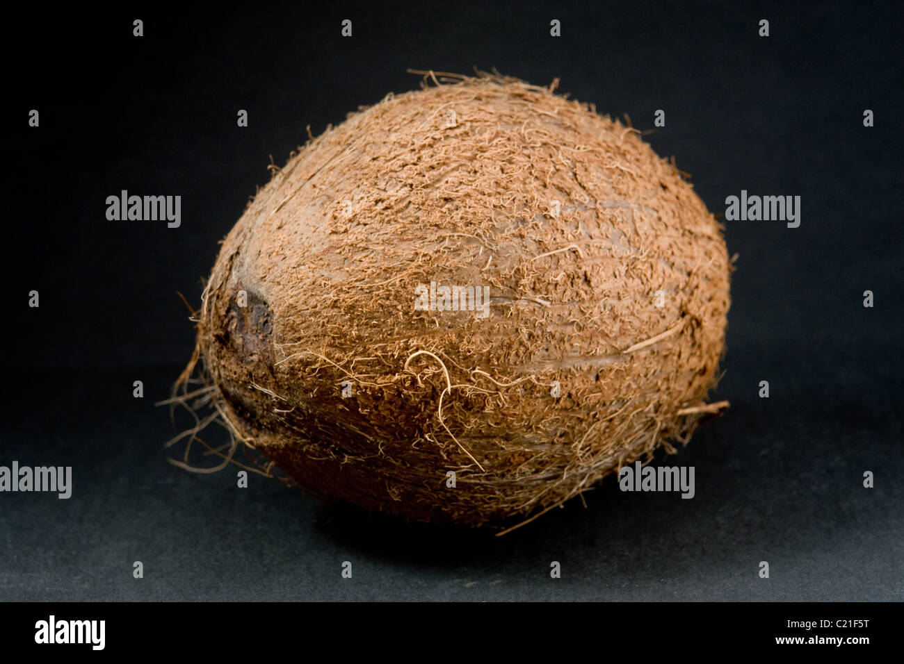 Unopened big fresh natural coconut Stock Photo - Alamy