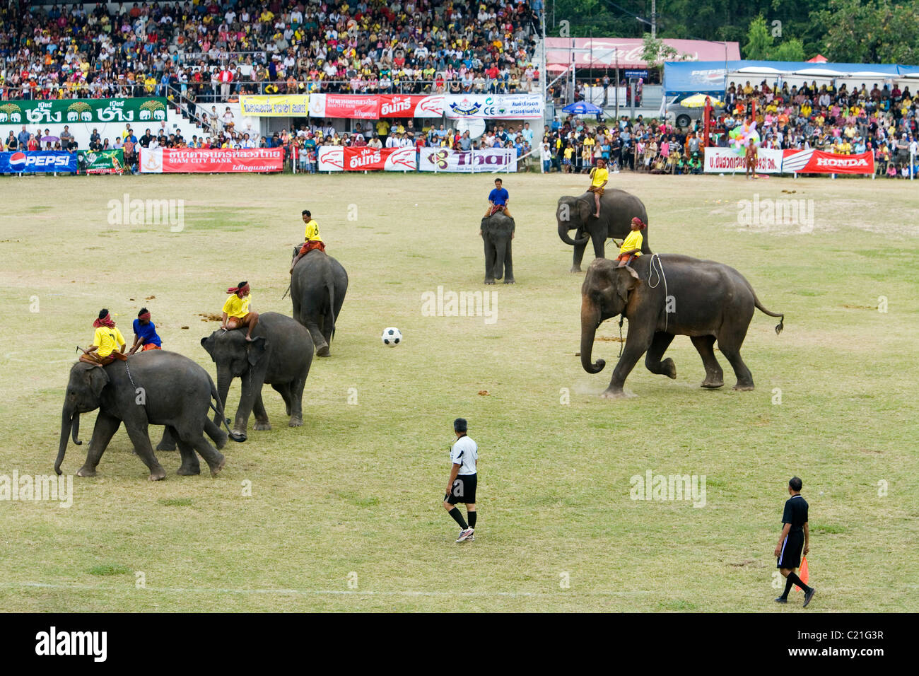 Elephant football in Surin's Srinarong Stadium during the annual ...