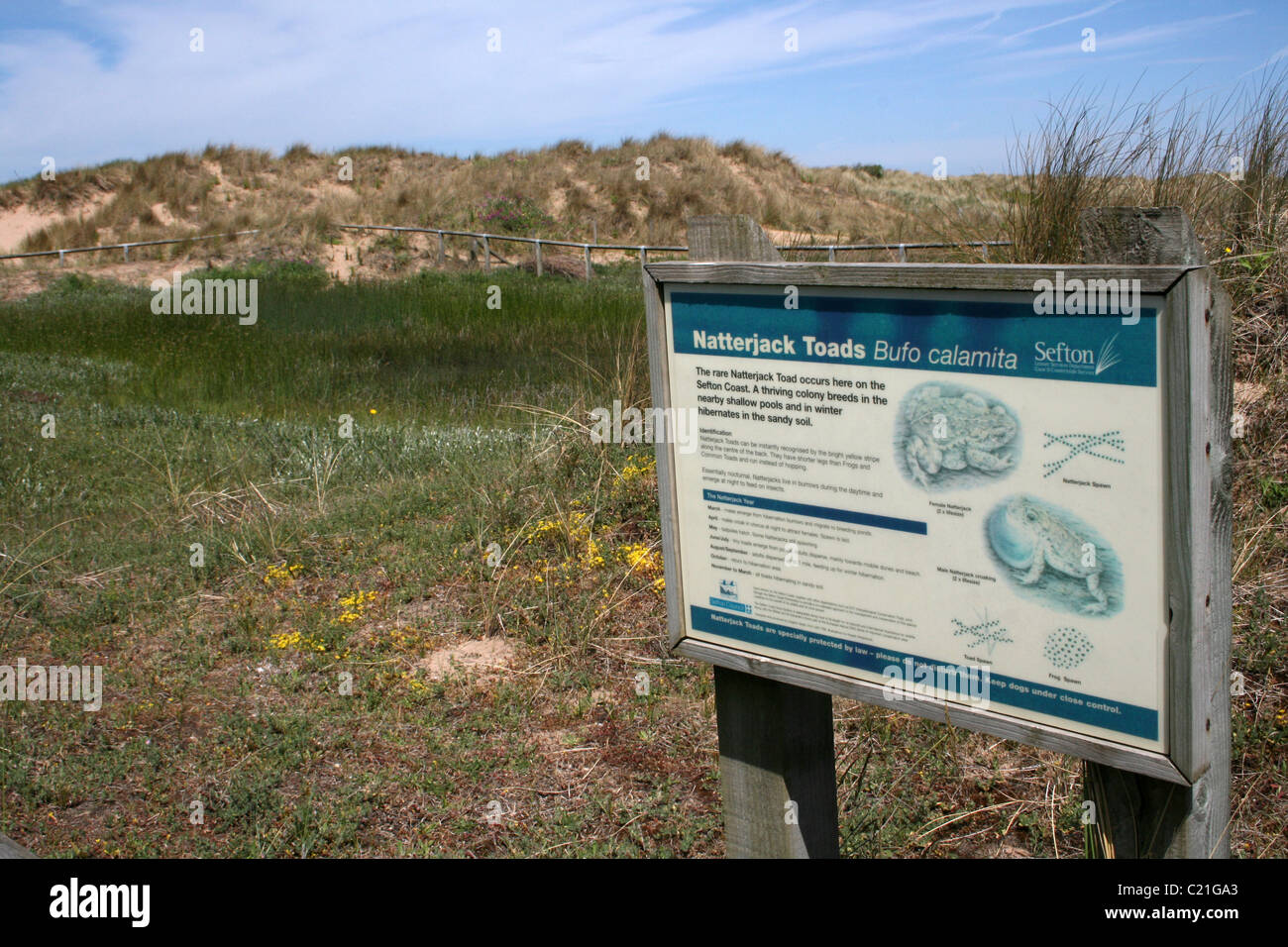 Ainsdale sand dunes nature reserve hi-res stock photography and images ...