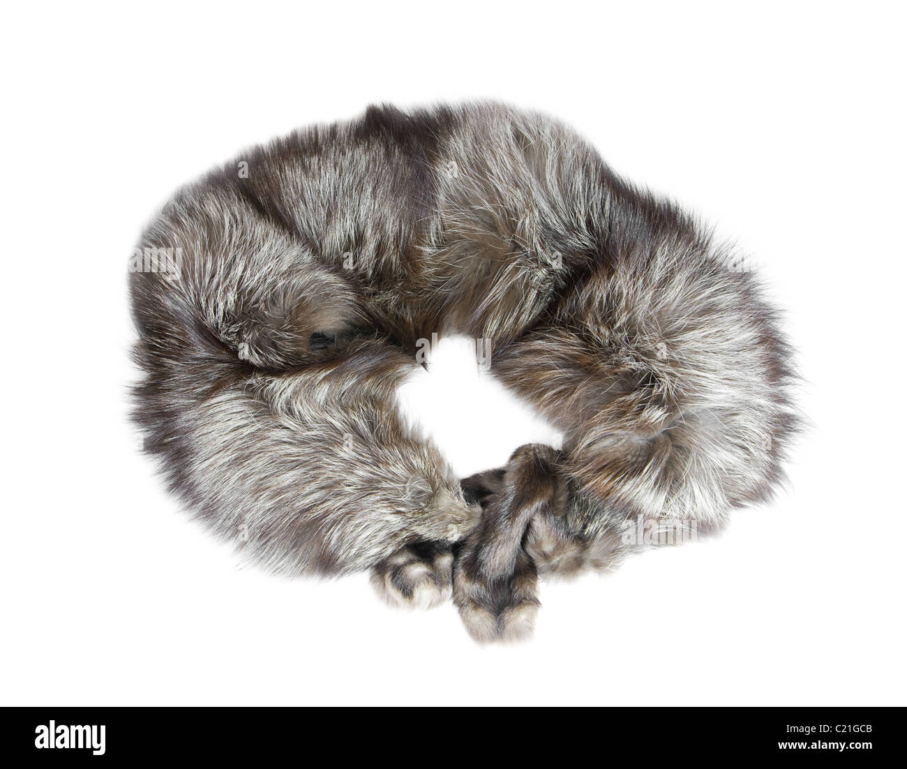 Coat collar Cut Out Stock Images & Pictures - Alamy