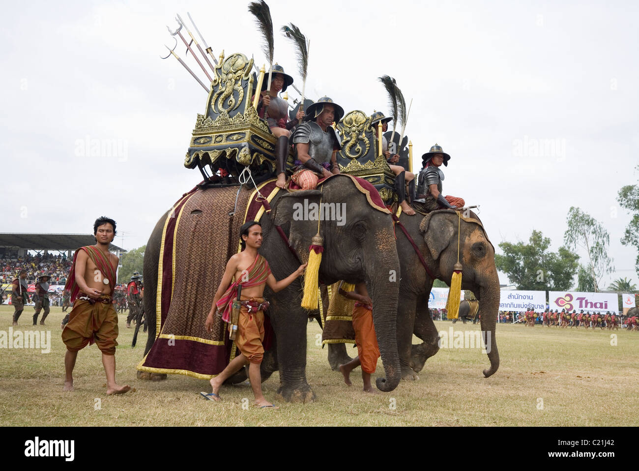 War elephant hi-res stock photography and images - Alamy