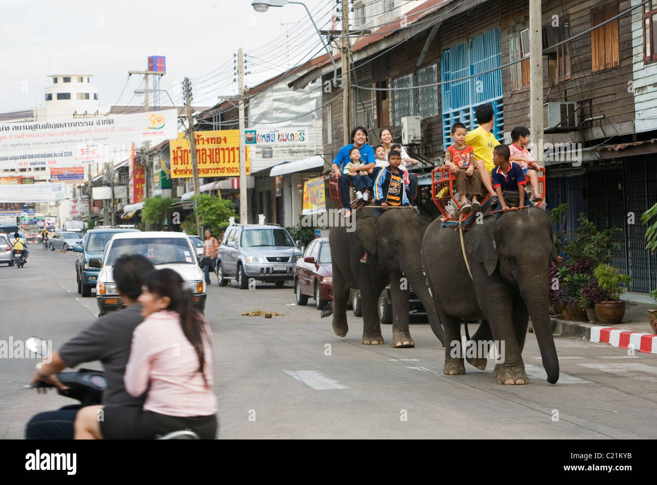 Elephant rides through the streets of Surin during the annual Elephant ...