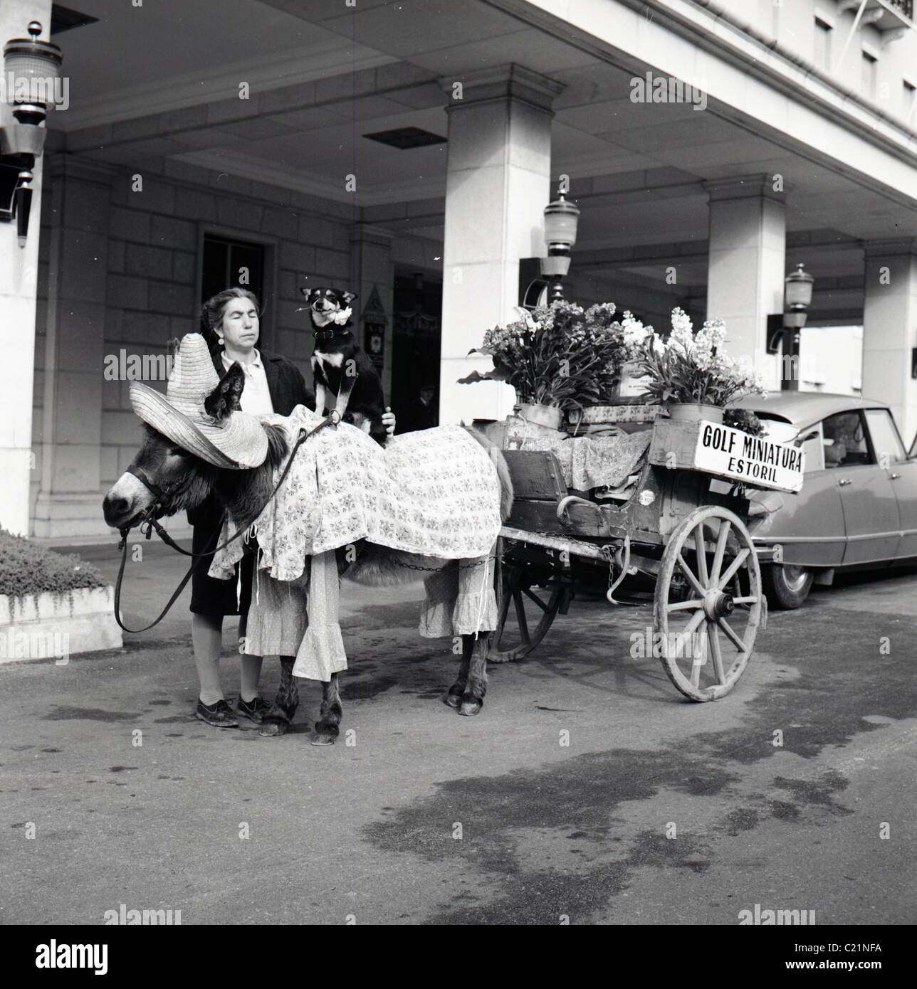 Portugal 1950s local portuguese woman hi-res stock photography and ...