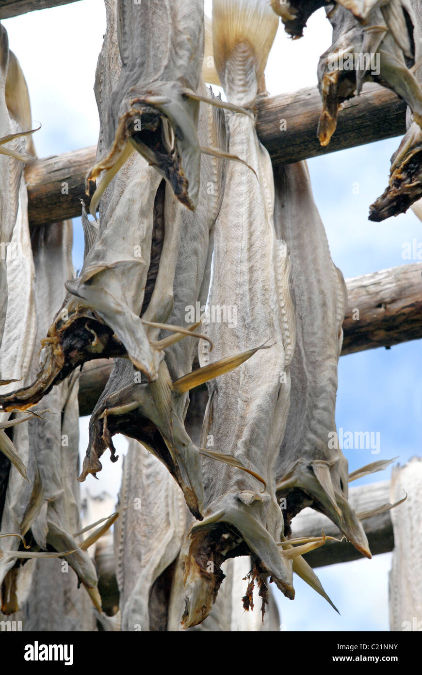 Salted fish heads hi-res stock photography and images - Alamy