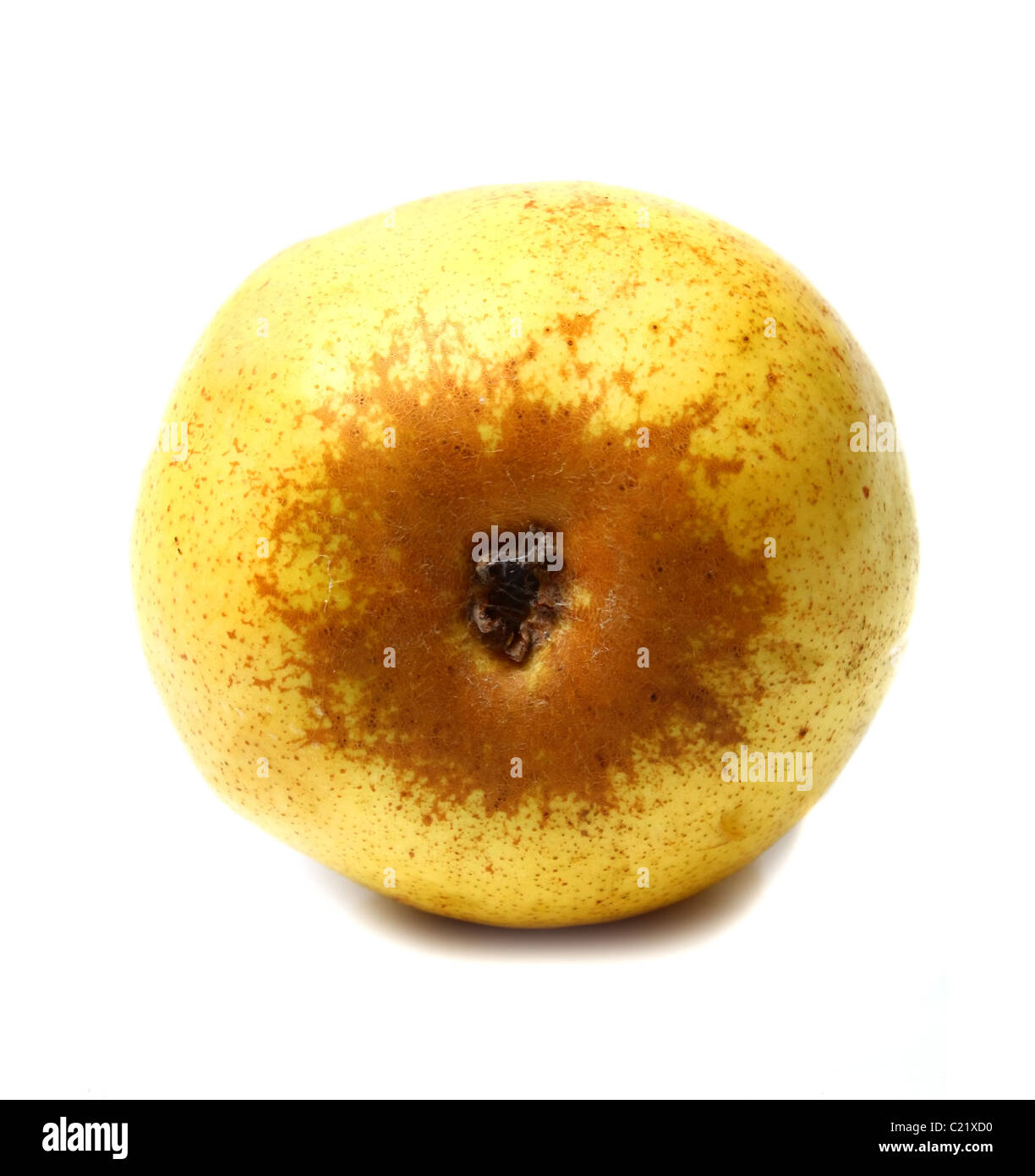 yellow pear isolated on white background Stock Photo - Alamy