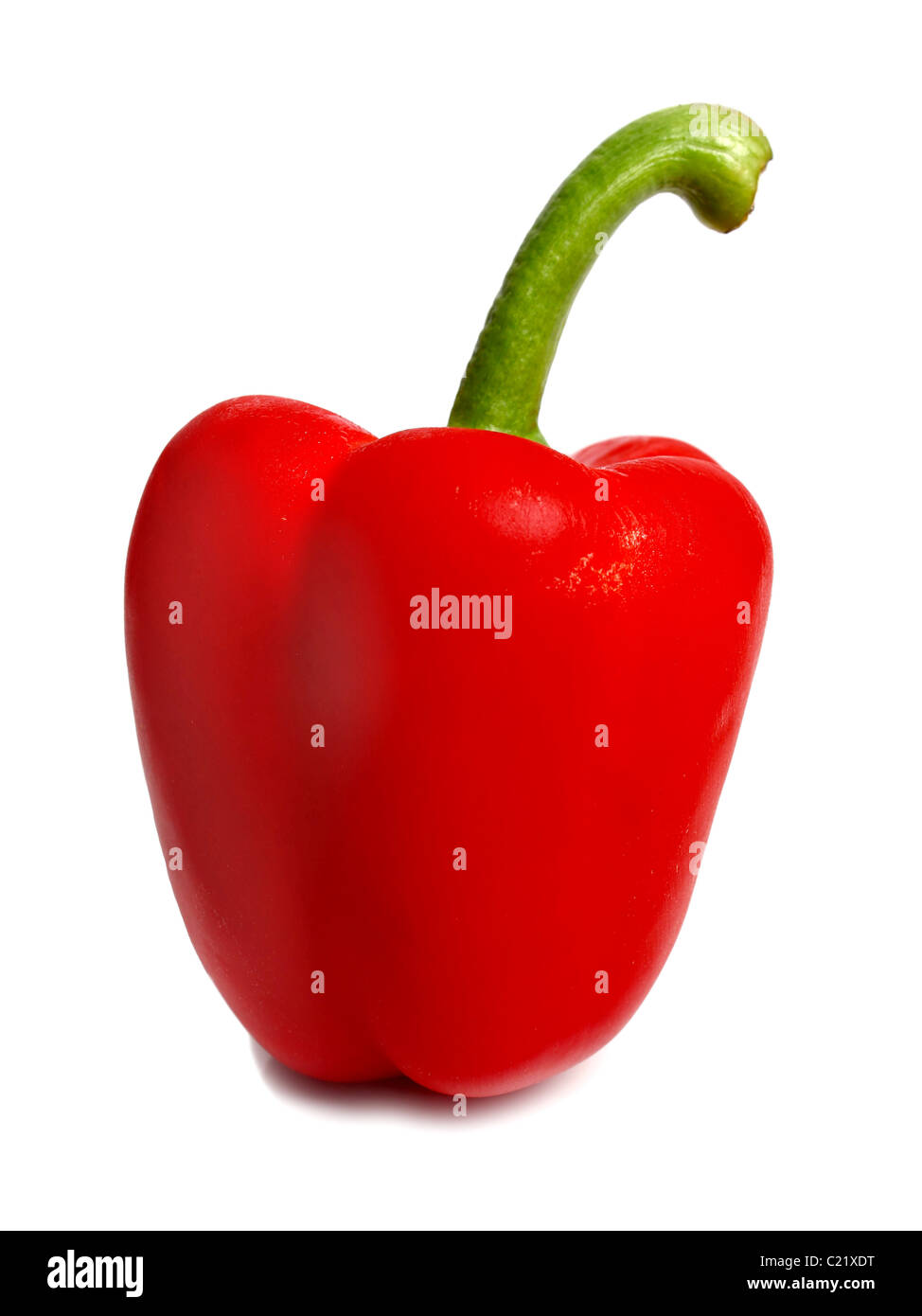 pepper isolated on white background Stock Photo - Alamy