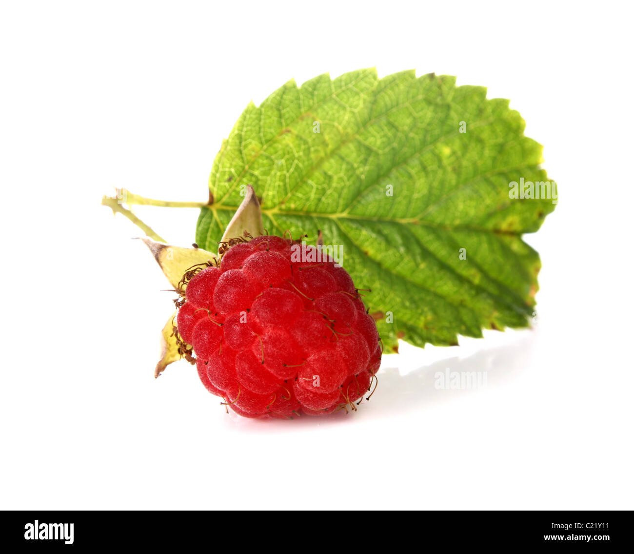 ripe raspberry isolated on white background Stock Photo - Alamy