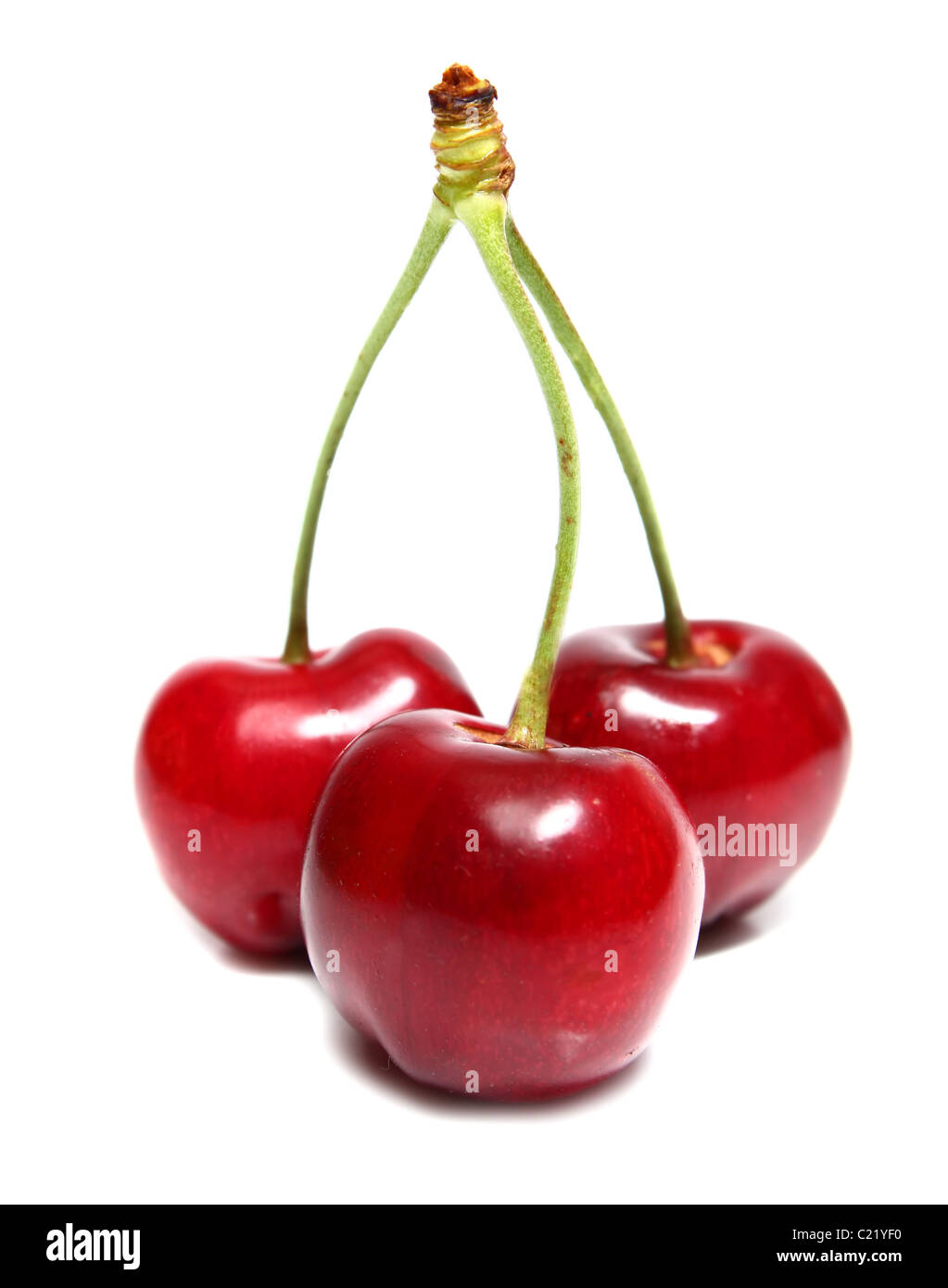 sherry isolated on white background Stock Photo - Alamy