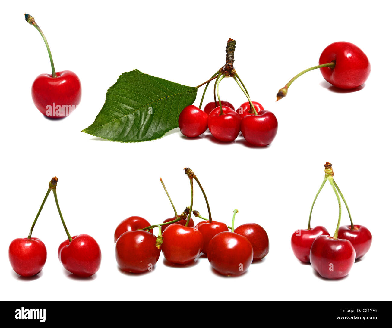 sherry isolated on white background Stock Photo - Alamy
