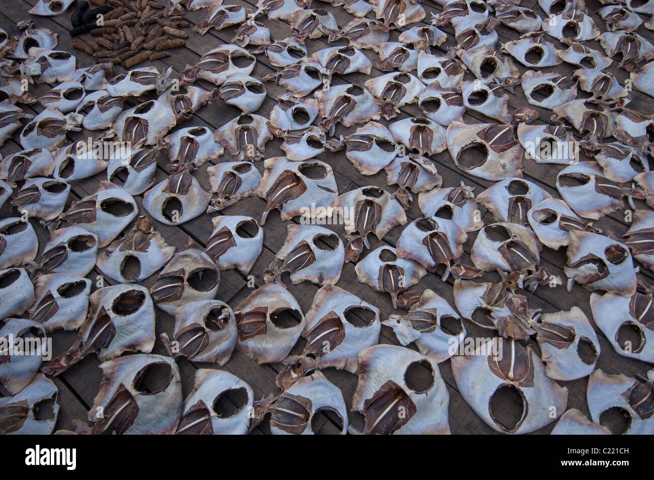 Rays drying in the sun, Sabah Stock Photo - Alamy