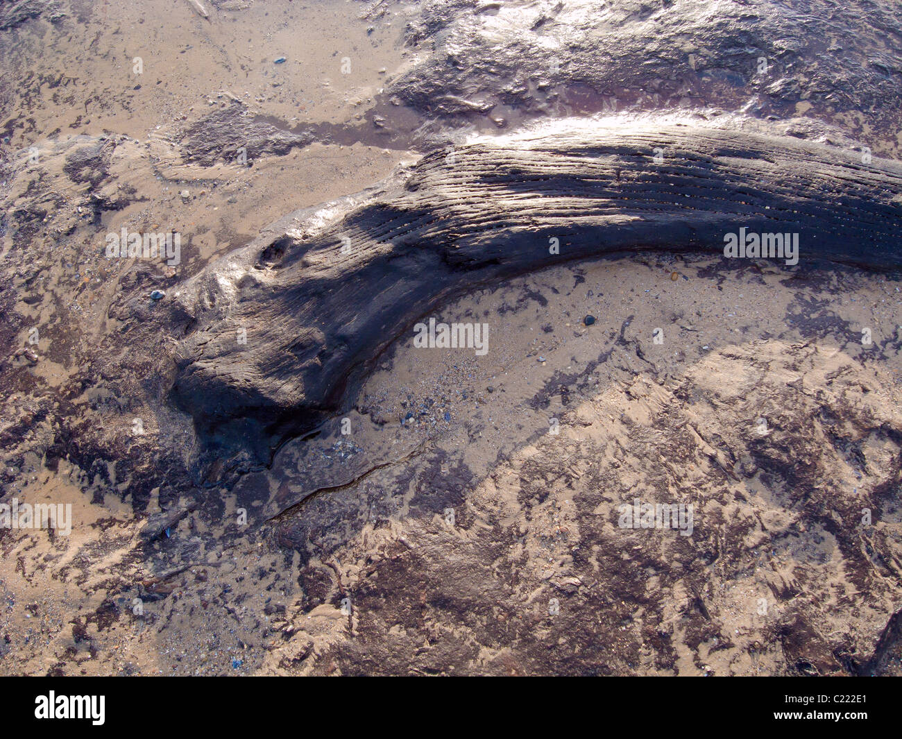 Redcar beach forest hi-res stock photography and images - Alamy