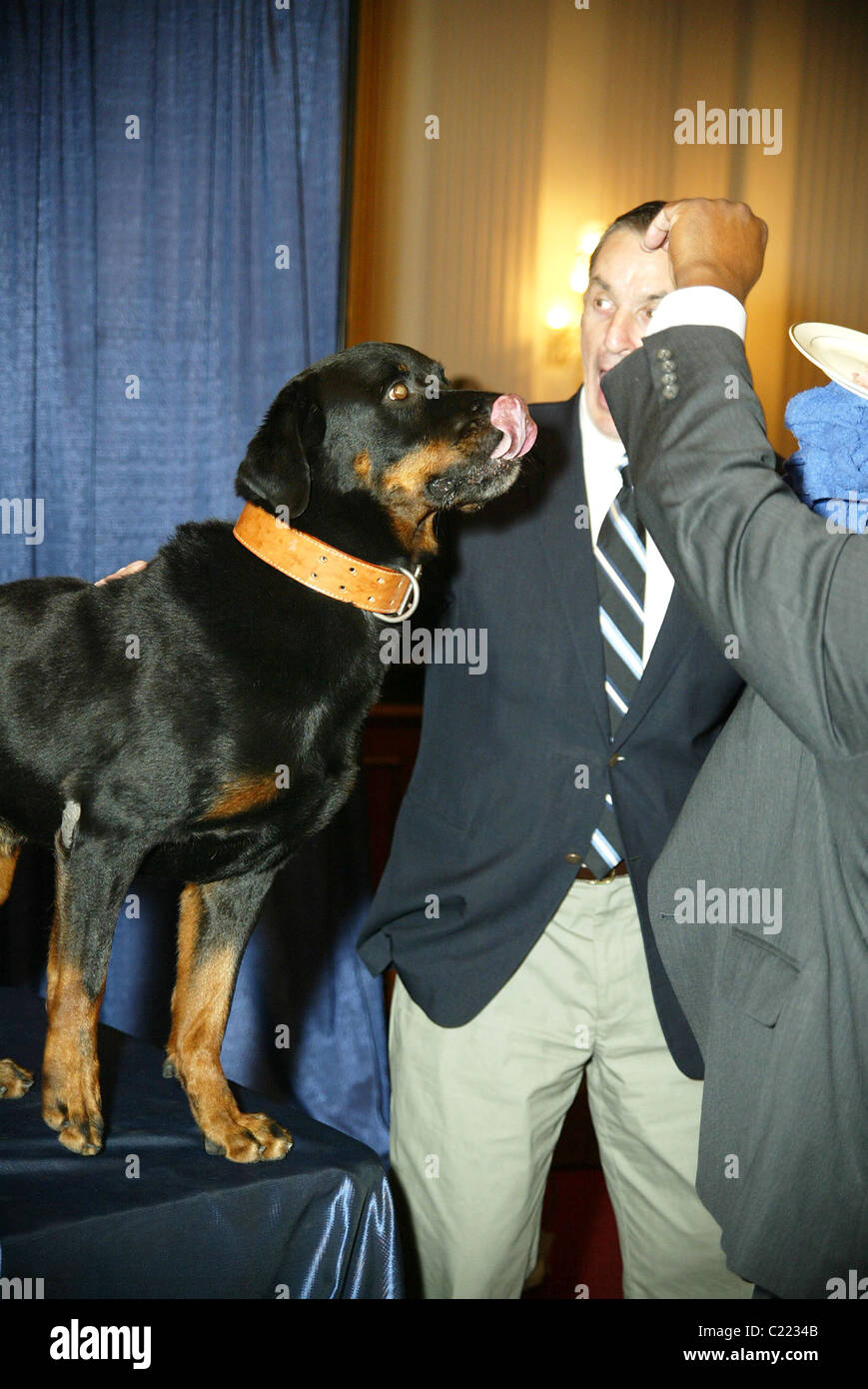 It's a dogs life for star pets They're used to being fussed over - but ...