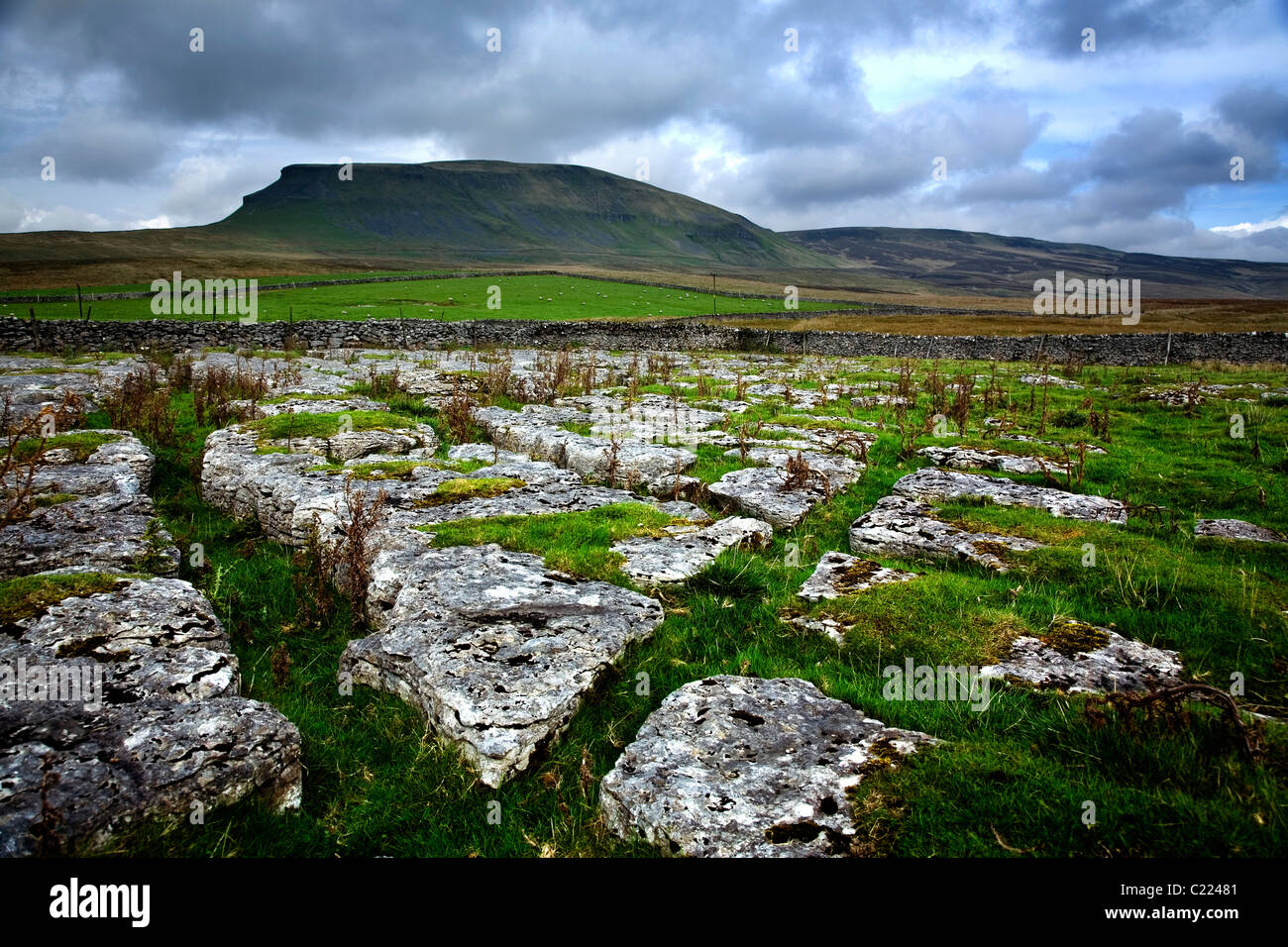 Limestone pavement yorkshire hi-res stock photography and images - Alamy