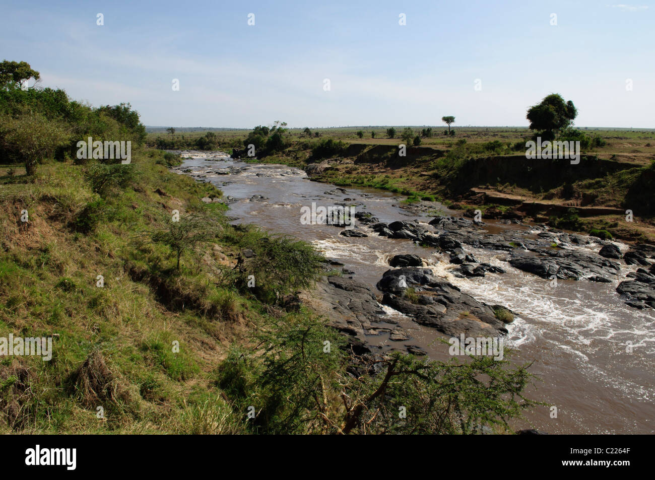 Mara river masai hi-res stock photography and images - Alamy
