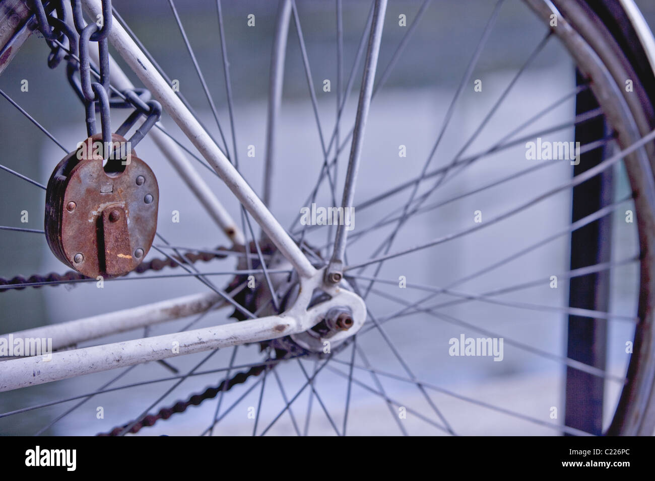The wheel of a bicycle Stock Photo - Alamy