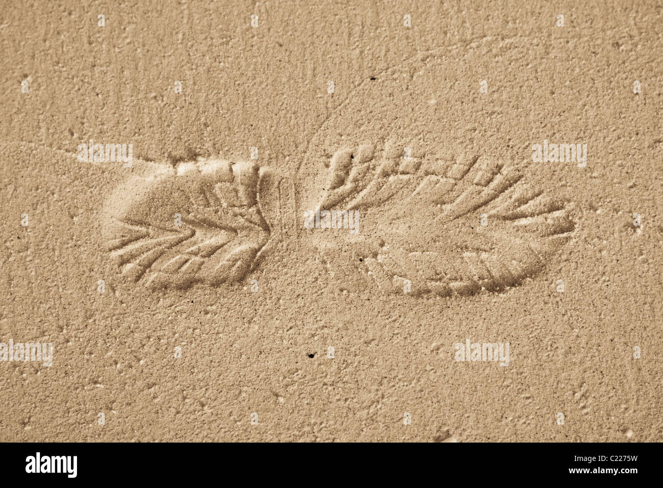 Trainer footprint hi-res stock photography and images - Alamy