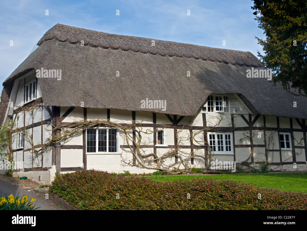 Cottage in Crawley, Hampshire, England Stock Photo - Alamy