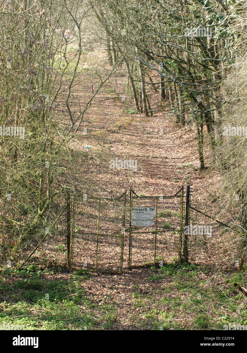 Old fence gates on woodland track, UK Stock Photo - Alamy