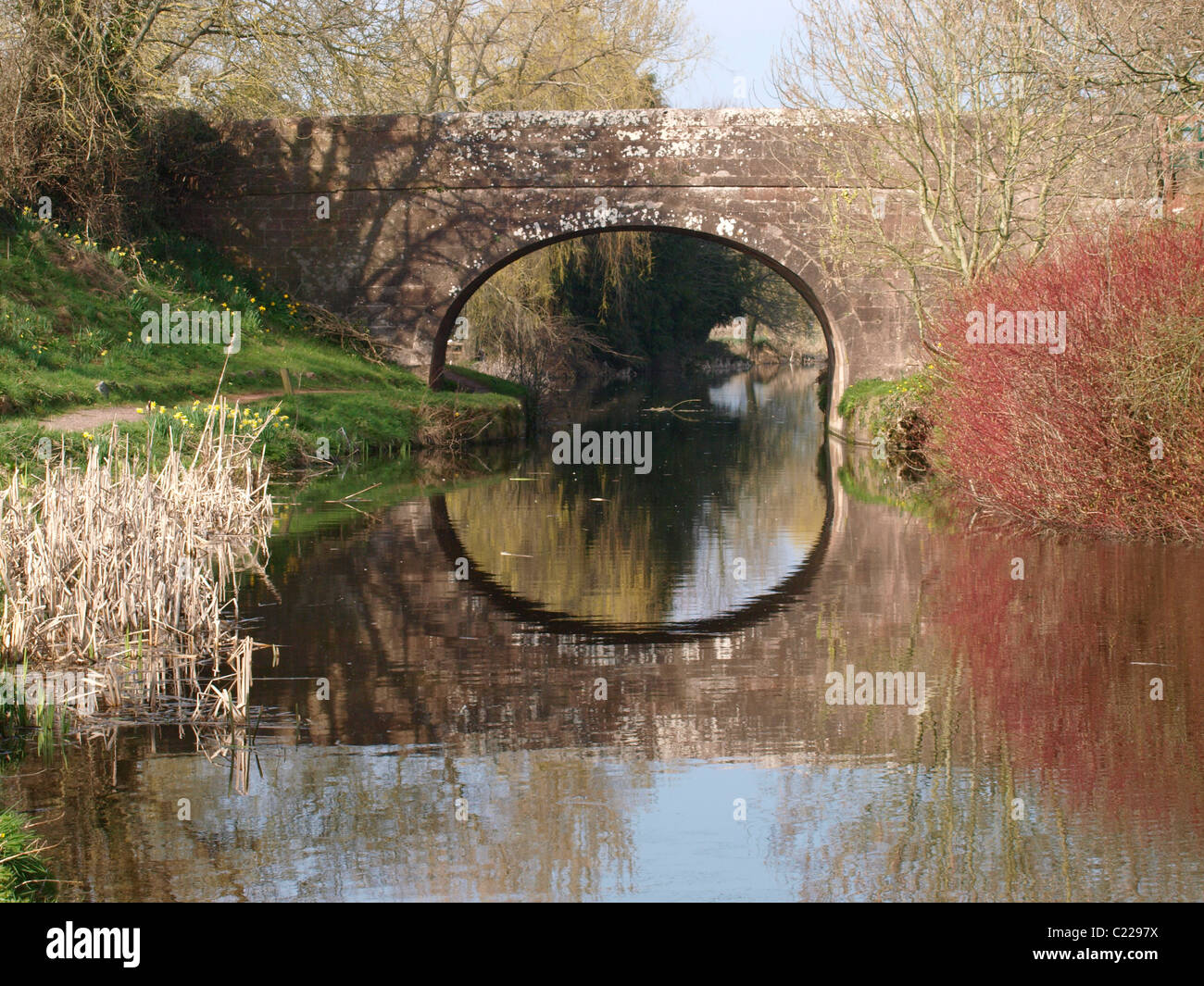 Crownhill Bridge, The Grand Western Canal, Tiverton, Devon, UK Stock ...