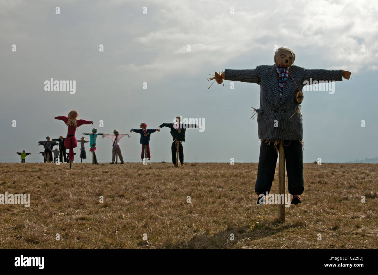 Field of multiple scarecrows Stock Photo - Alamy