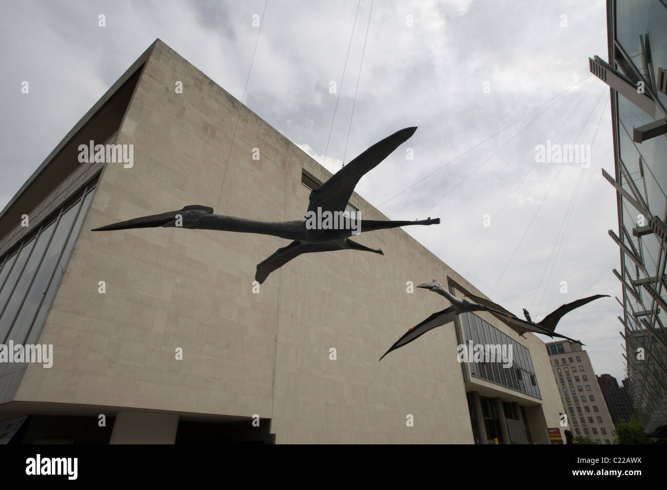 prehistoric birds art sculpture Stock Photo - Alamy