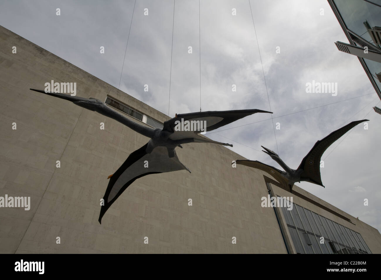 Prehistoric birds art sculpture hi-res stock photography and images - Alamy