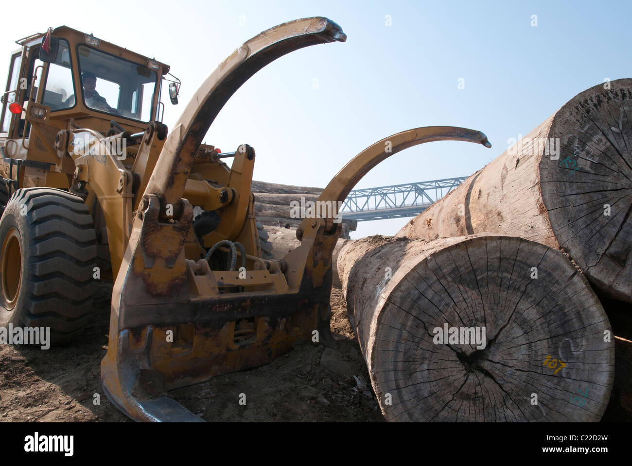 Timber depot. Yadanabon bridge. Sagaing. Irrawaddyi river. Myanmar ...