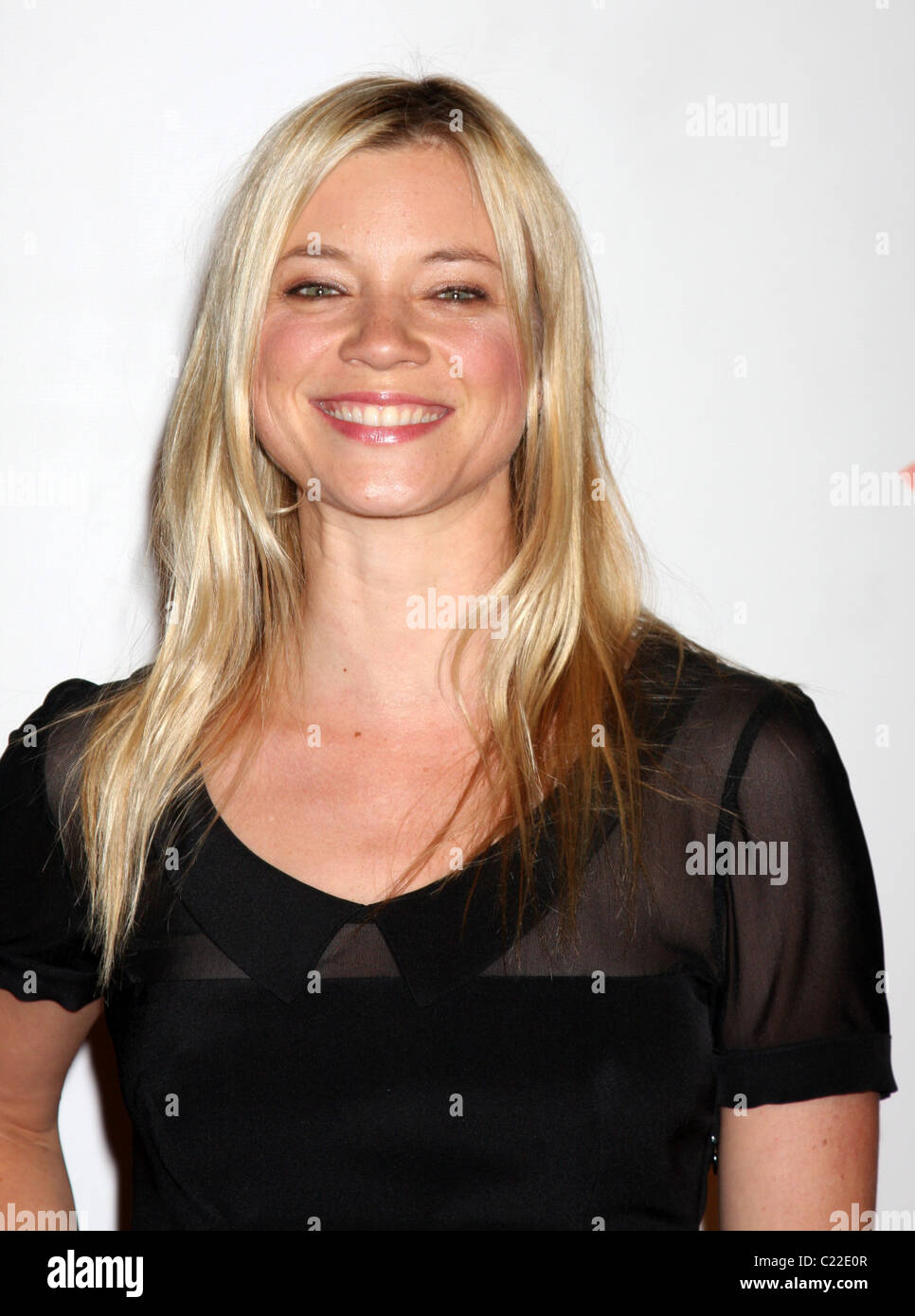 Amy Smart The 2009 Lint Roller Party - Arrivals Los Angeles, California ...
