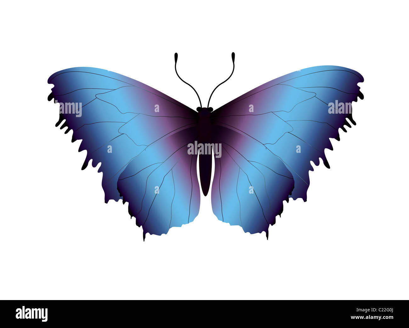 Butterfly curve hi-res stock photography and images - Alamy