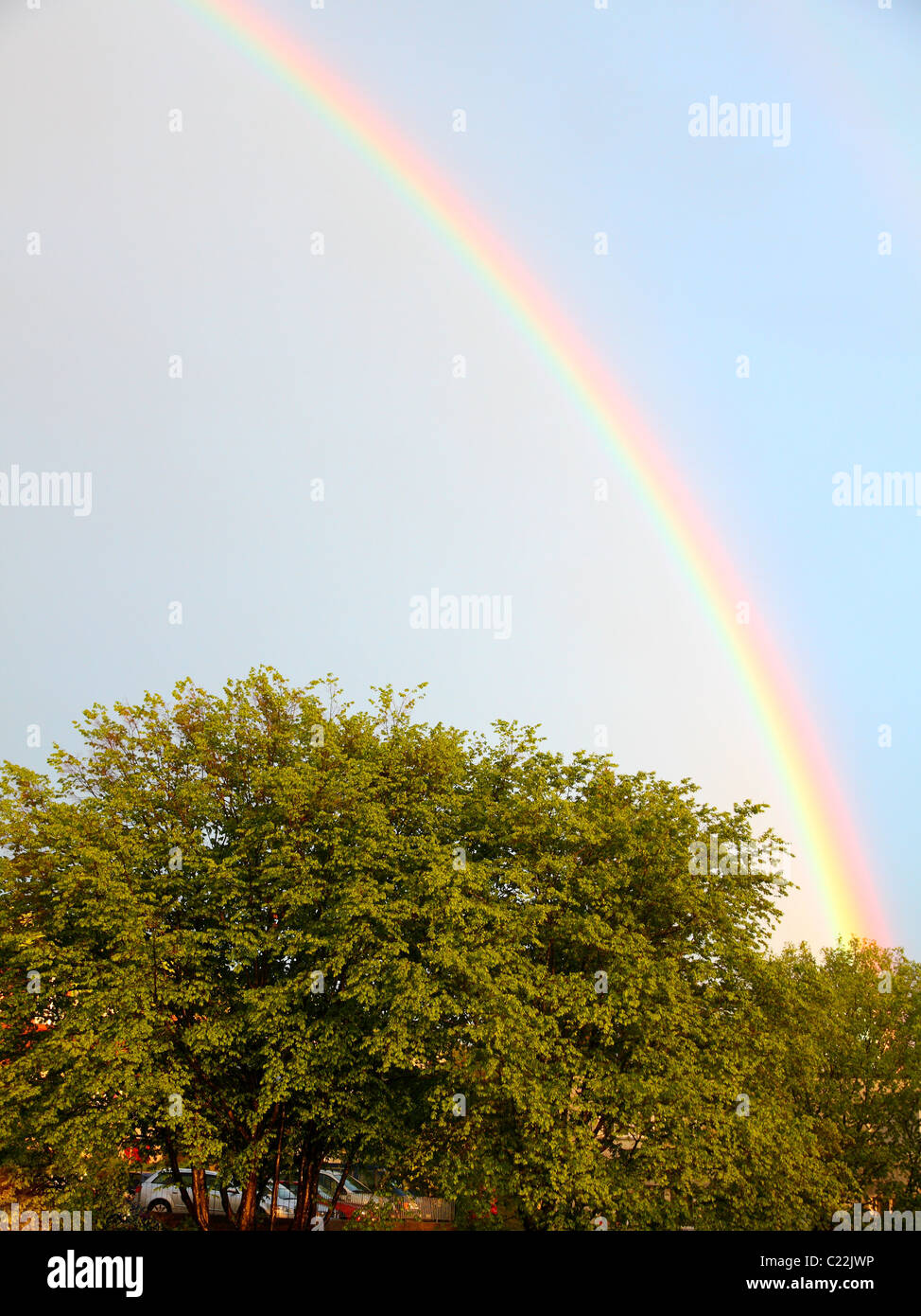 powerful rainbow shining over trees in afternoon sun Stock Photo - Alamy