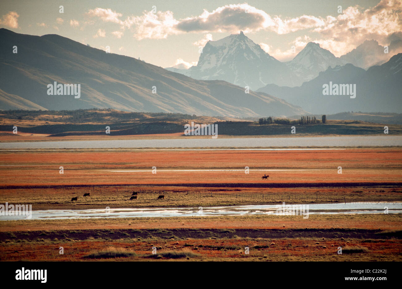 Patagonia Argentina Gaucho on horseback crosses grass plains at ...