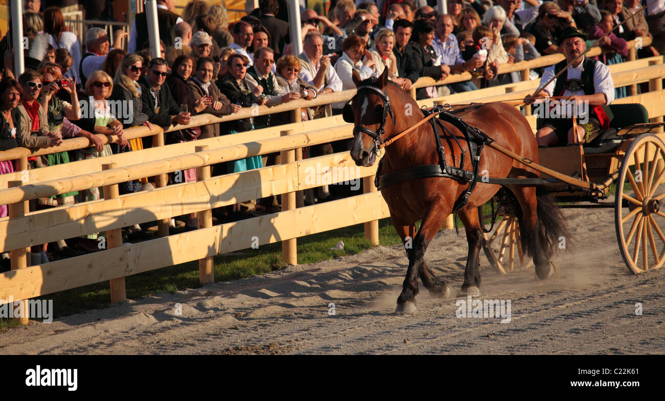 Trotted Stock Photos & Trotted Stock Images - Alamy