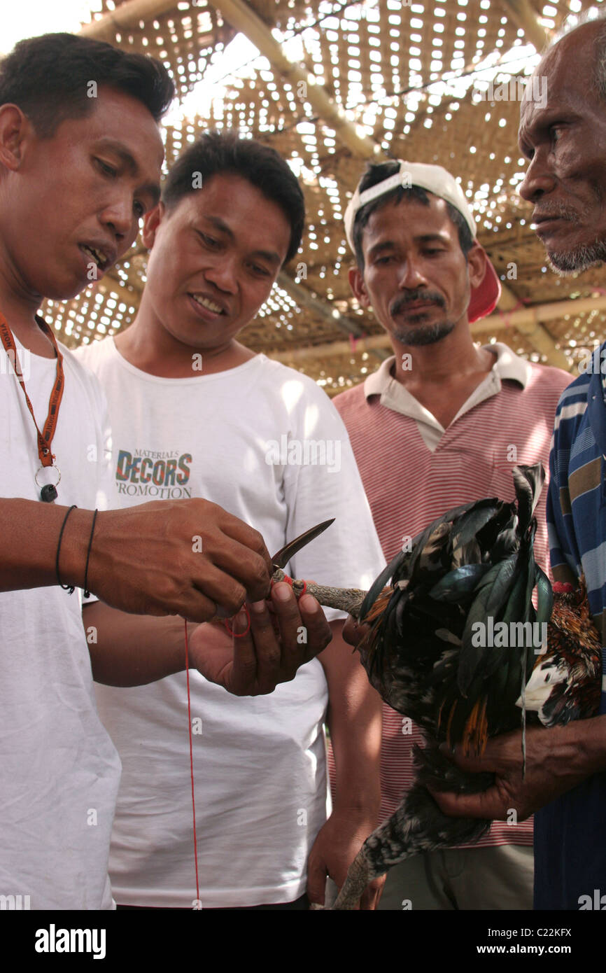 Balinese man holding rooster blade hi-res stock photography and images ...