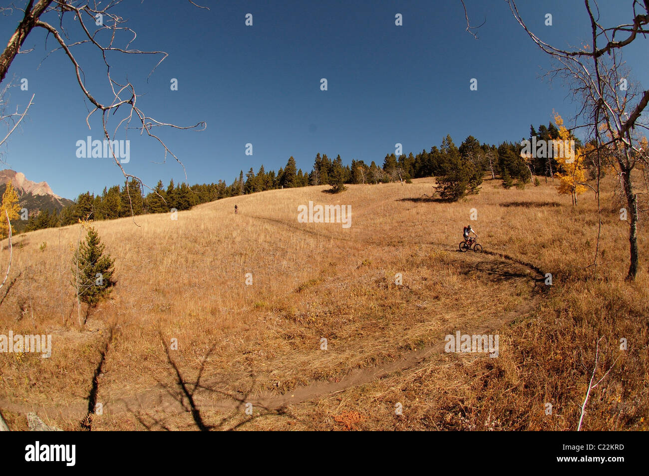 Mountain biking in the South Chilcotin mountains, British Columbia ...
